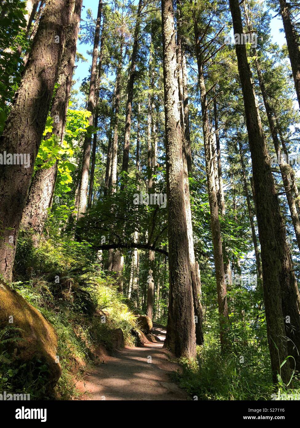 Spencer butte oregon hi-res stock photography and images - Alamy