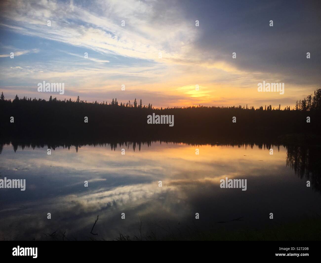 Chasing trees hi-res stock photography and images - Alamy