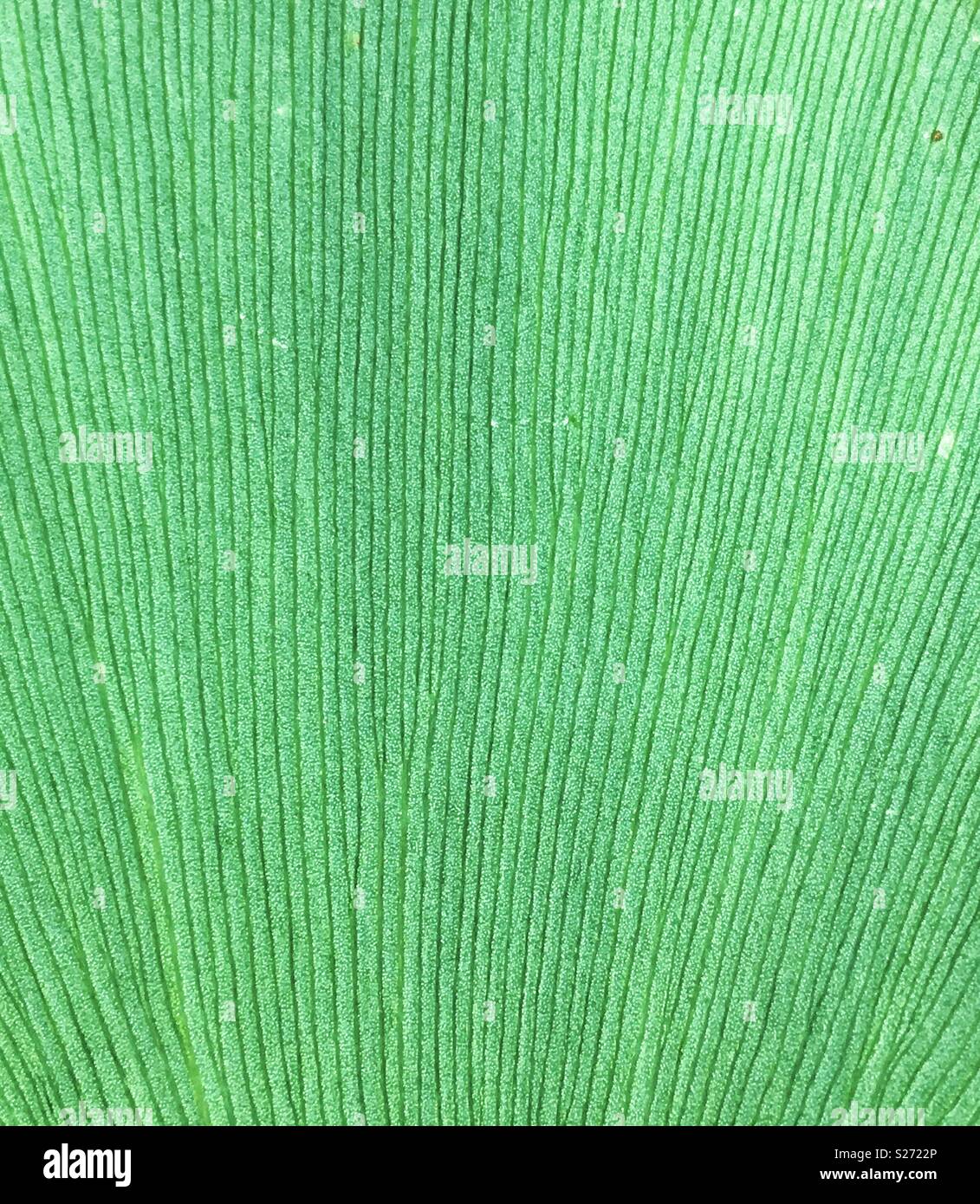 Linear grooves hi-res stock photography and images - Alamy