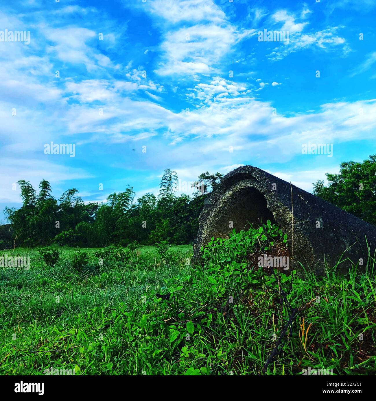 Stuck in nature hi-res stock photography and images - Alamy