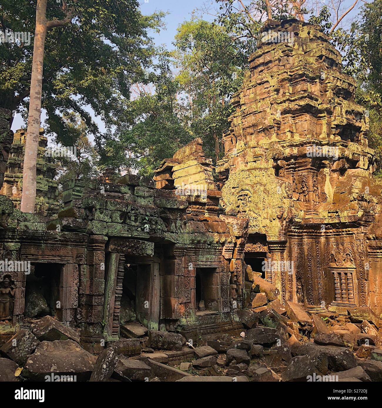 Old abandoned building trees growing hi-res stock photography and ...