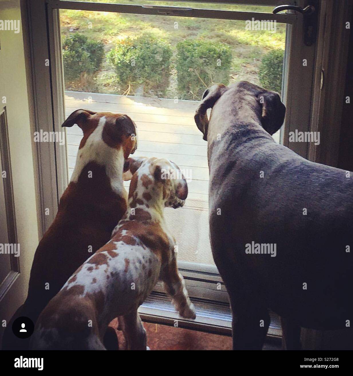 Stare out window hi-res stock photography and images - Alamy