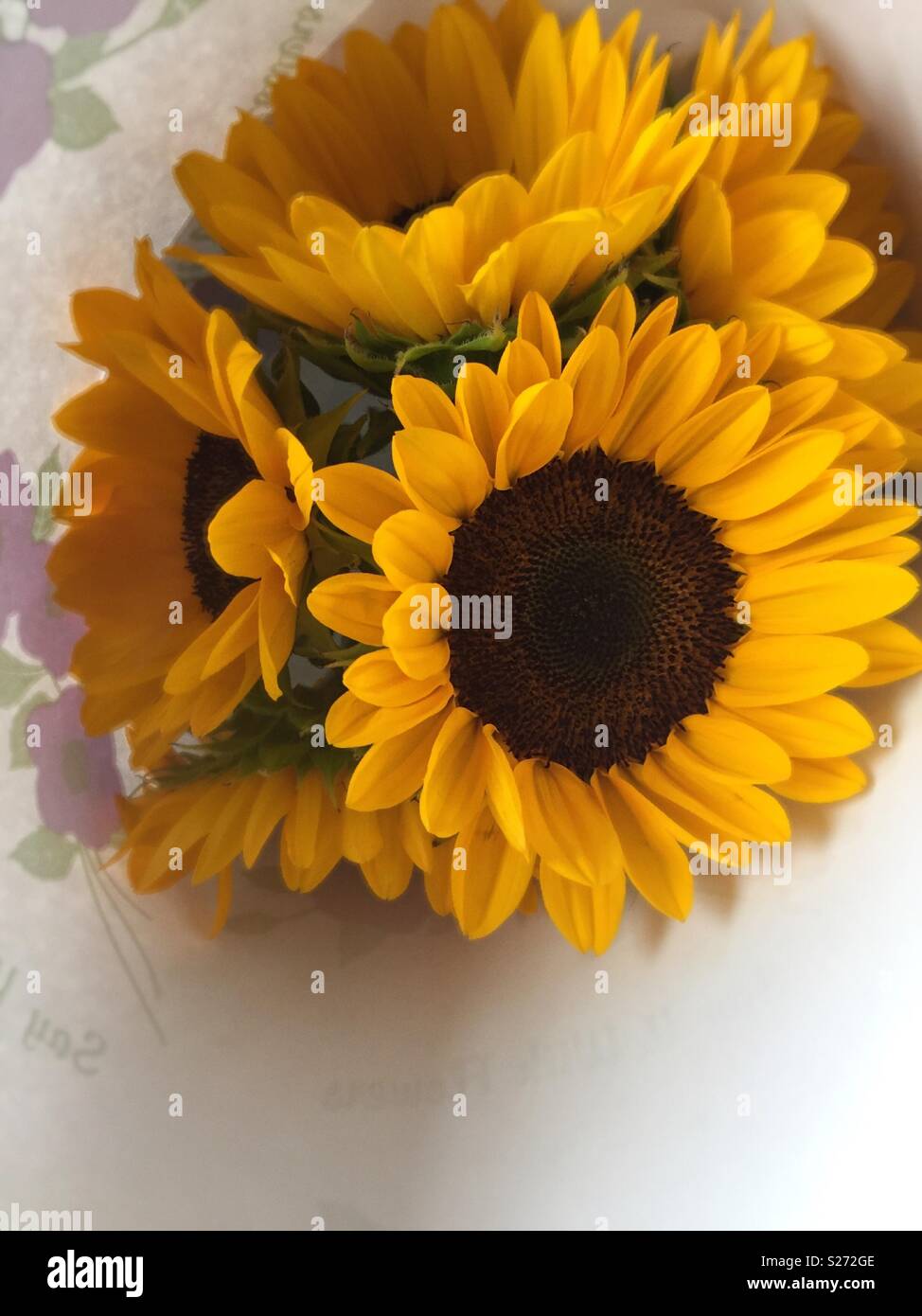 Sunflowers, Close up Stock Photo - Alamy