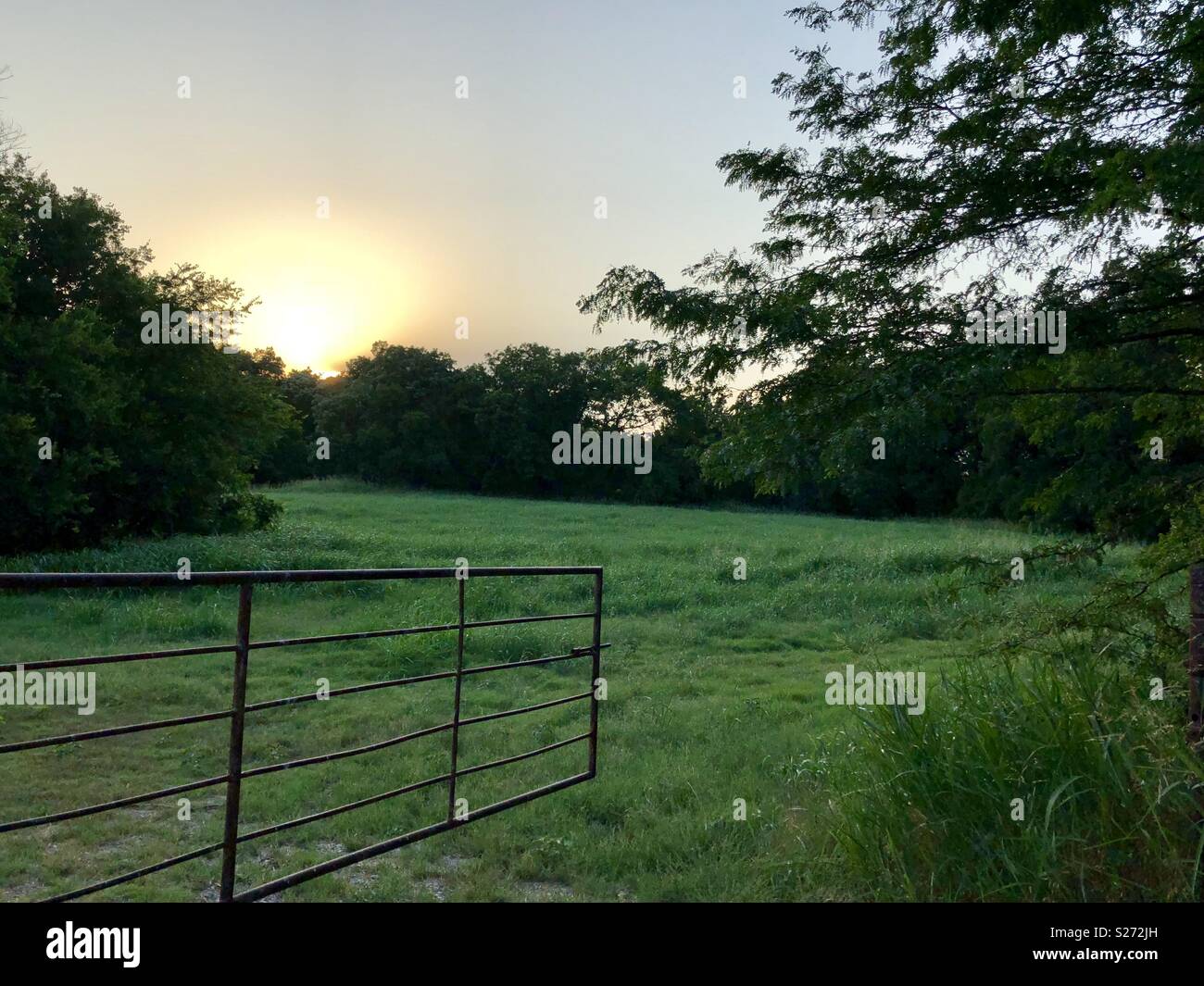 Gate openings hi-res stock photography and images - Alamy