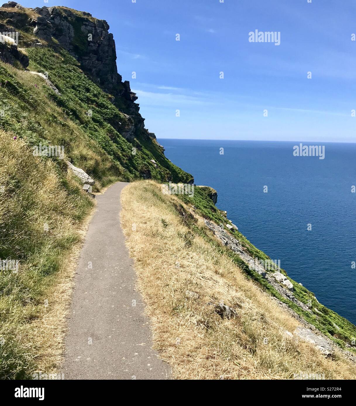 Valley of rocks Devon Stock Photo - Alamy
