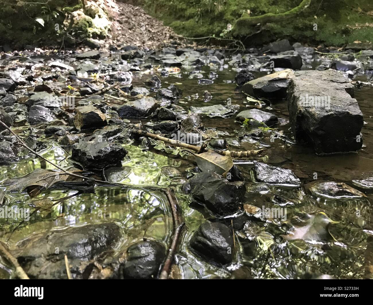 Pebbles in stream hi-res stock photography and images - Alamy
