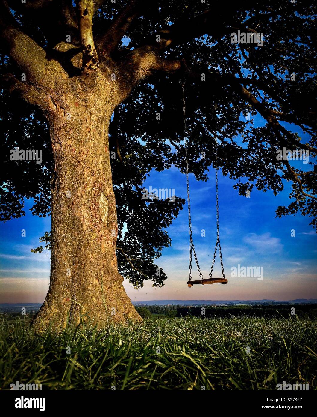 Swing Under Tree Stock Photo - Alamy