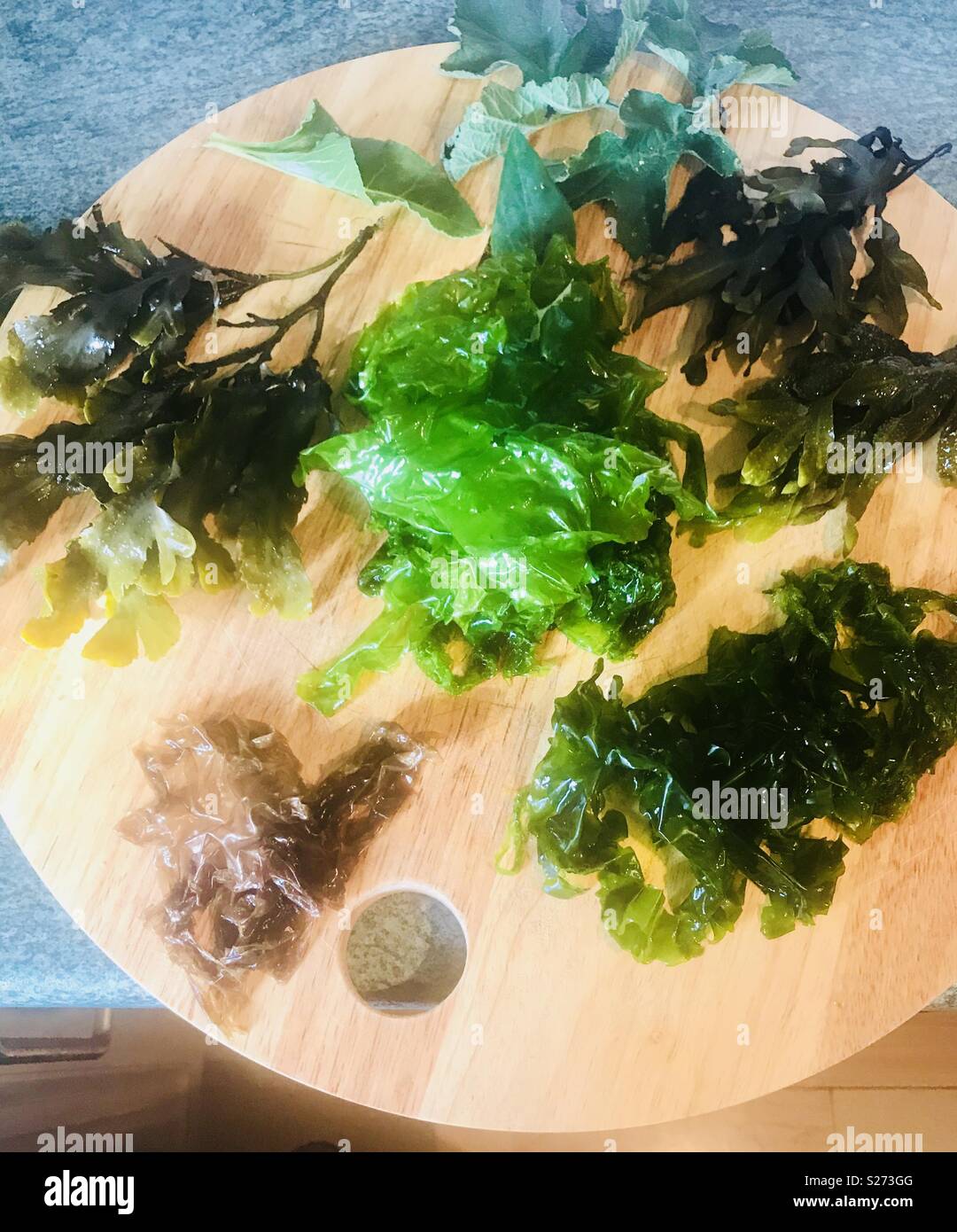 Edible seaweed Cornwall Stock Photo - Alamy