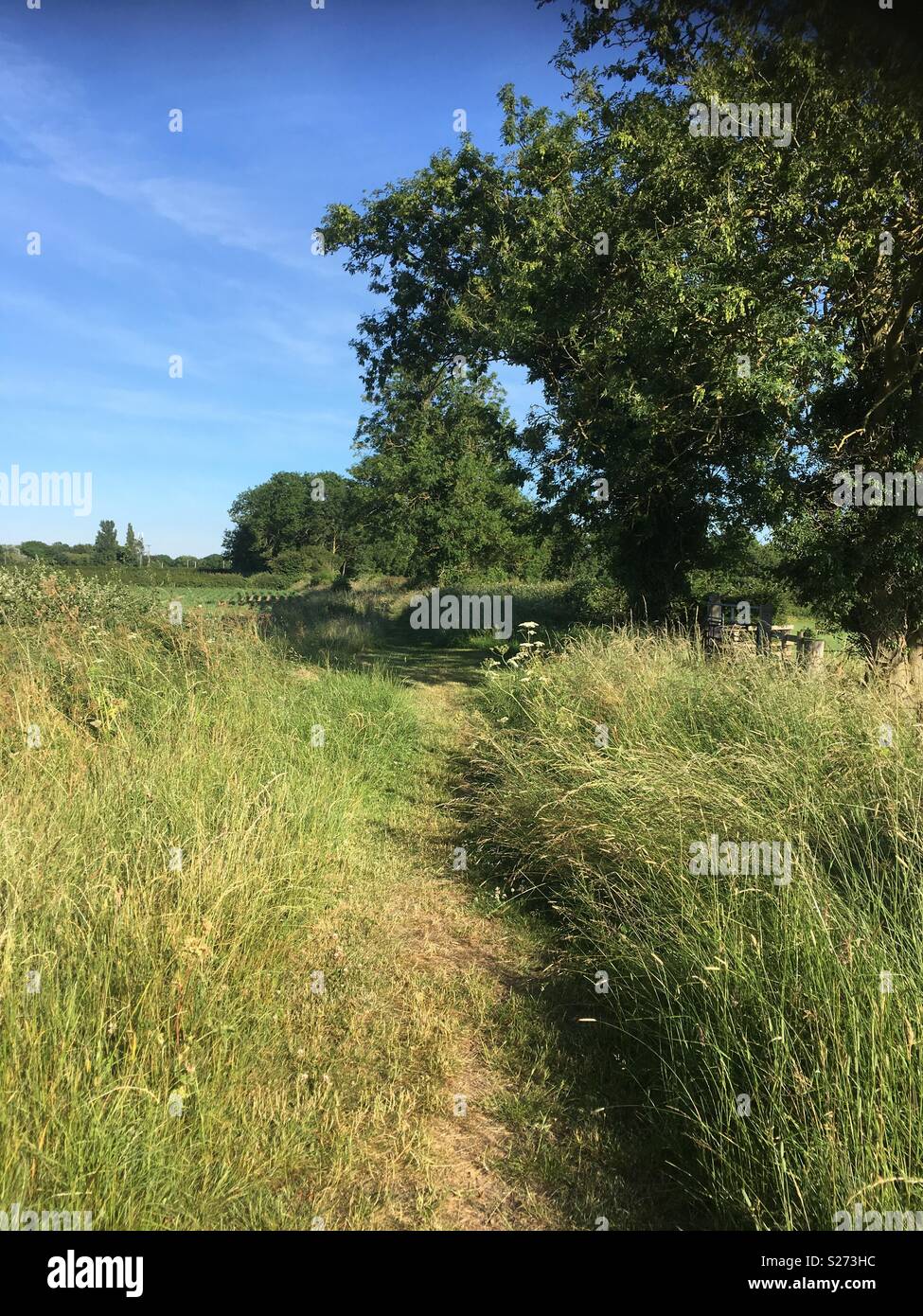 Grassy footpath hi-res stock photography and images - Alamy