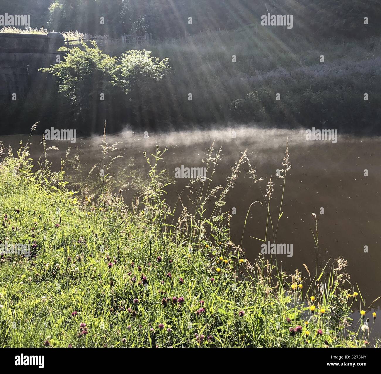 Mist on canal hi-res stock photography and images - Alamy