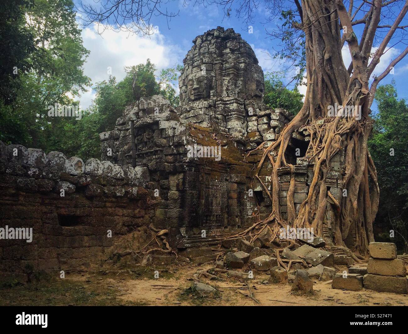 Tree temples hi-res stock photography and images - Alamy