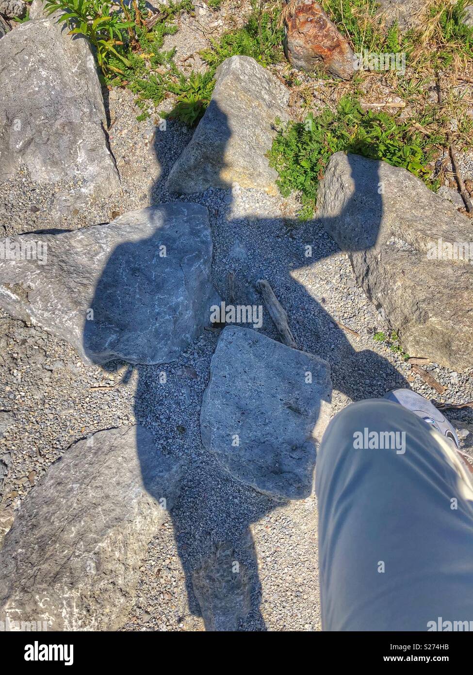 Climbing greenery hi-res stock photography and images - Alamy