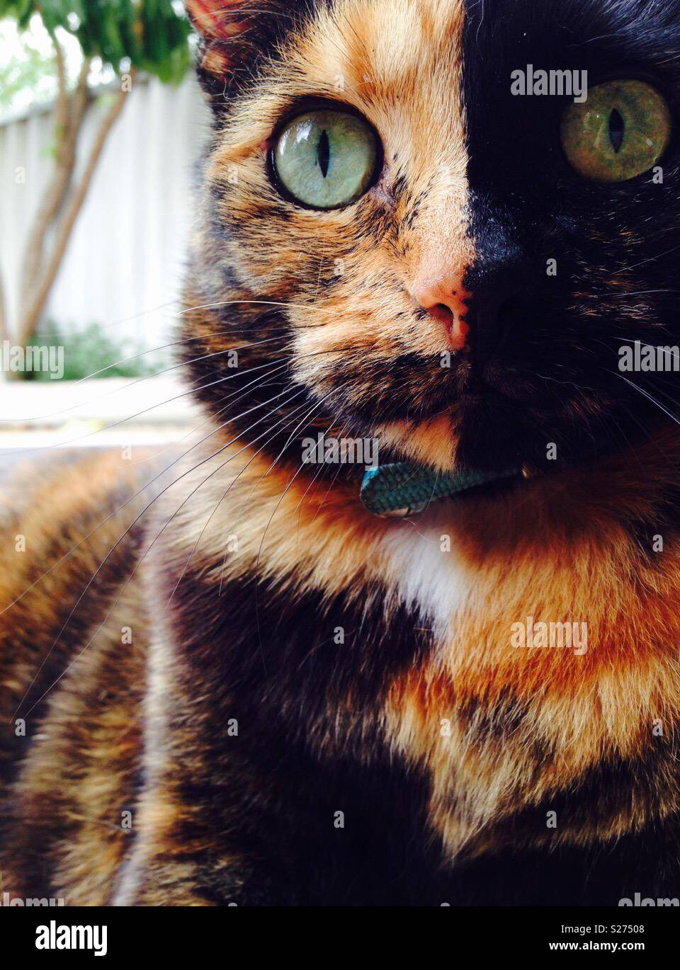 Two face hi-res stock photography and images - Alamy