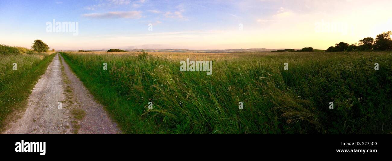 Ridgeway track hi-res stock photography and images - Alamy