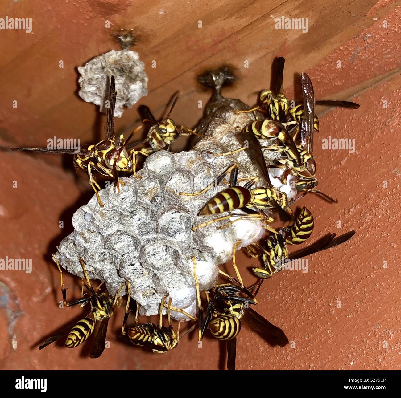 Bigger building hi-res stock photography and images - Alamy