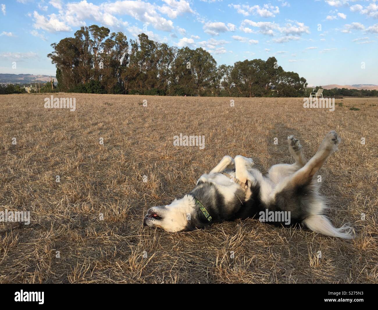 Rolling on the ground hi-res stock photography and images - Alamy