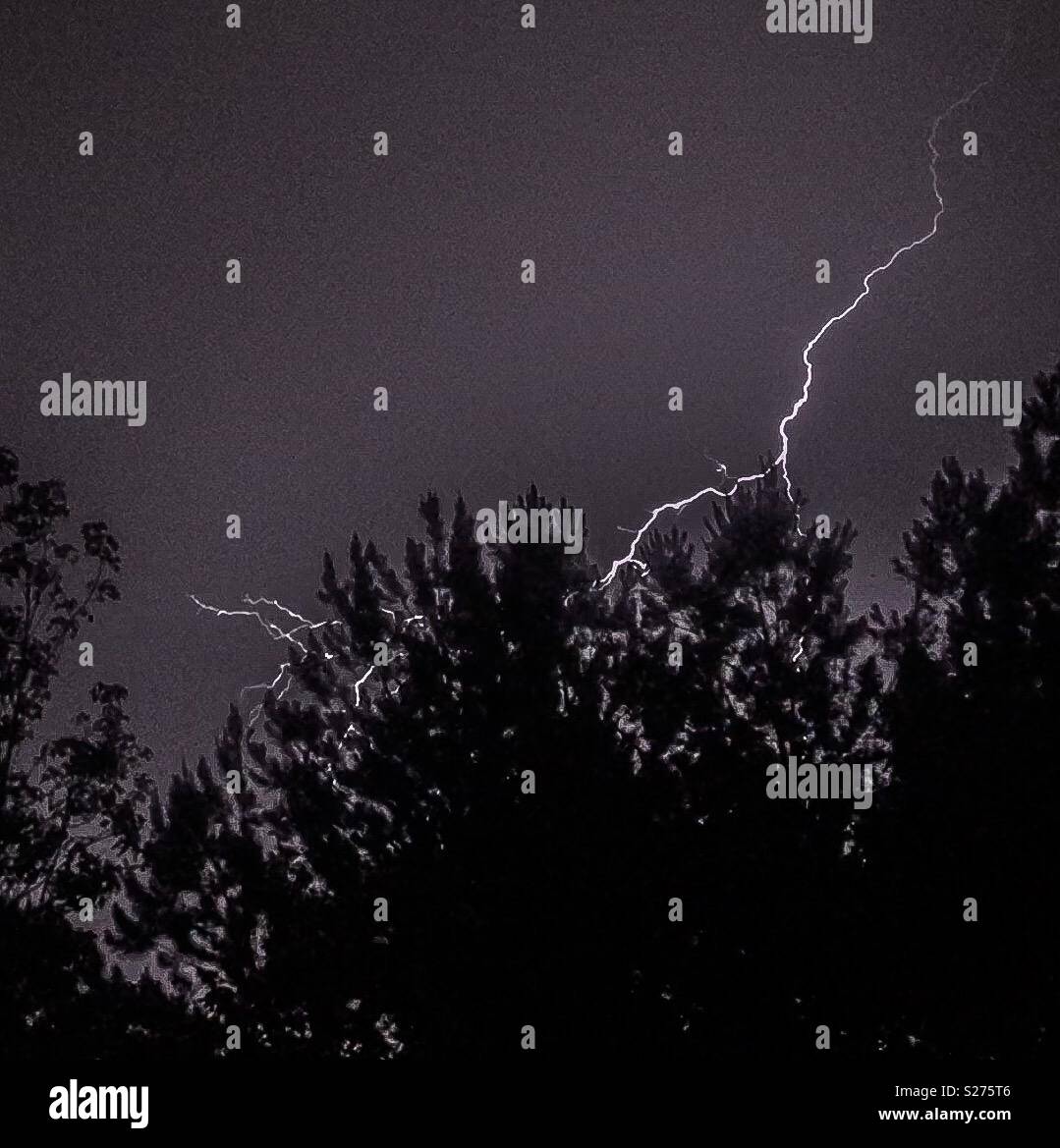 Lightning trees hi-res stock photography and images - Alamy