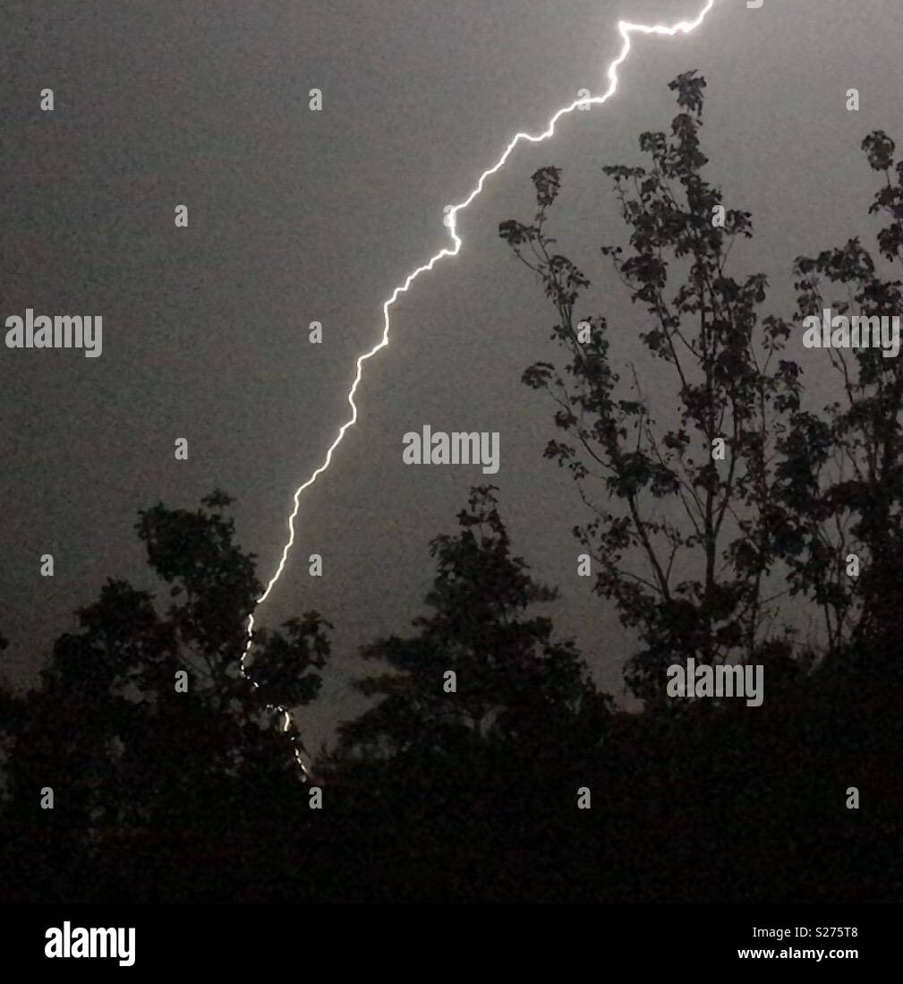 Lightning trees hi-res stock photography and images - Alamy