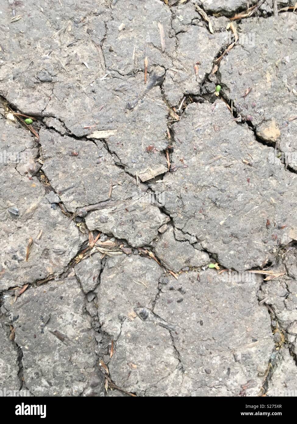 Cracked soil from heatwave Stock Photo - Alamy
