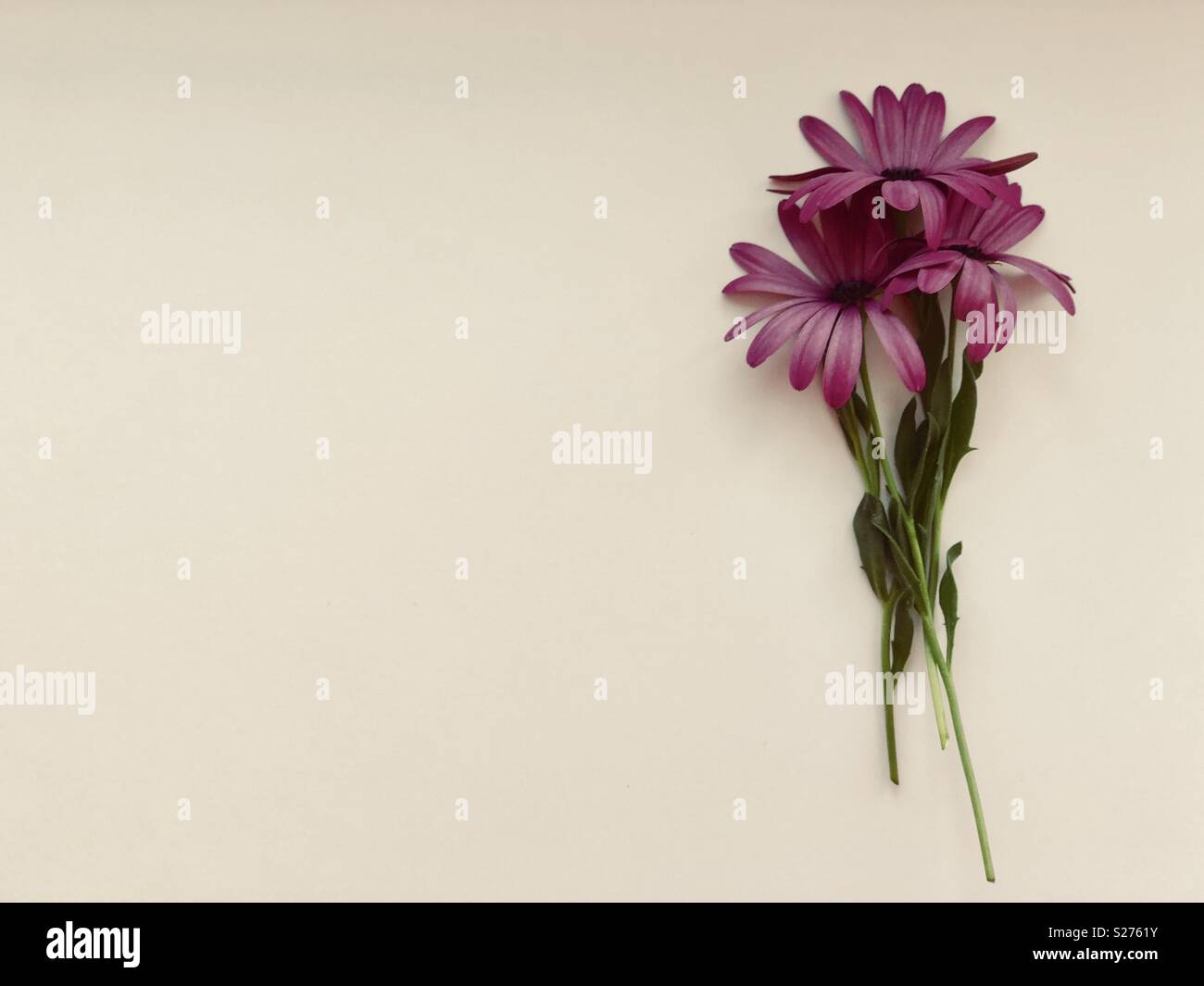 Love filling hi-res stock photography and images - Alamy