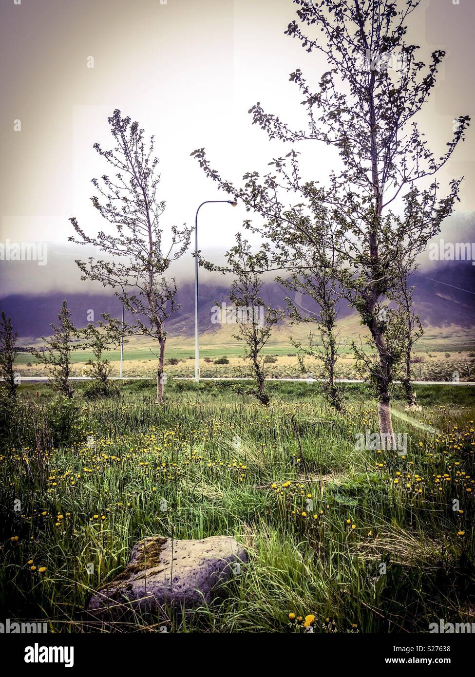 Wind Bend Trees Stock Photo - Alamy
