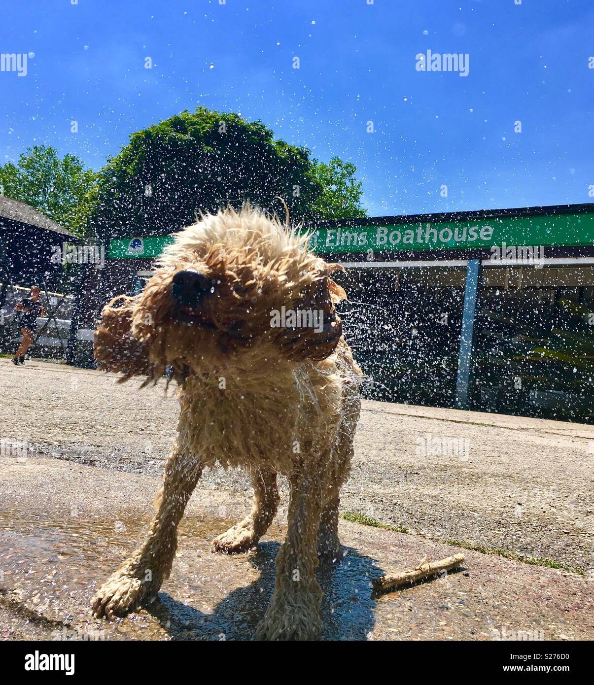 Wet day out hi-res stock photography and images - Alamy