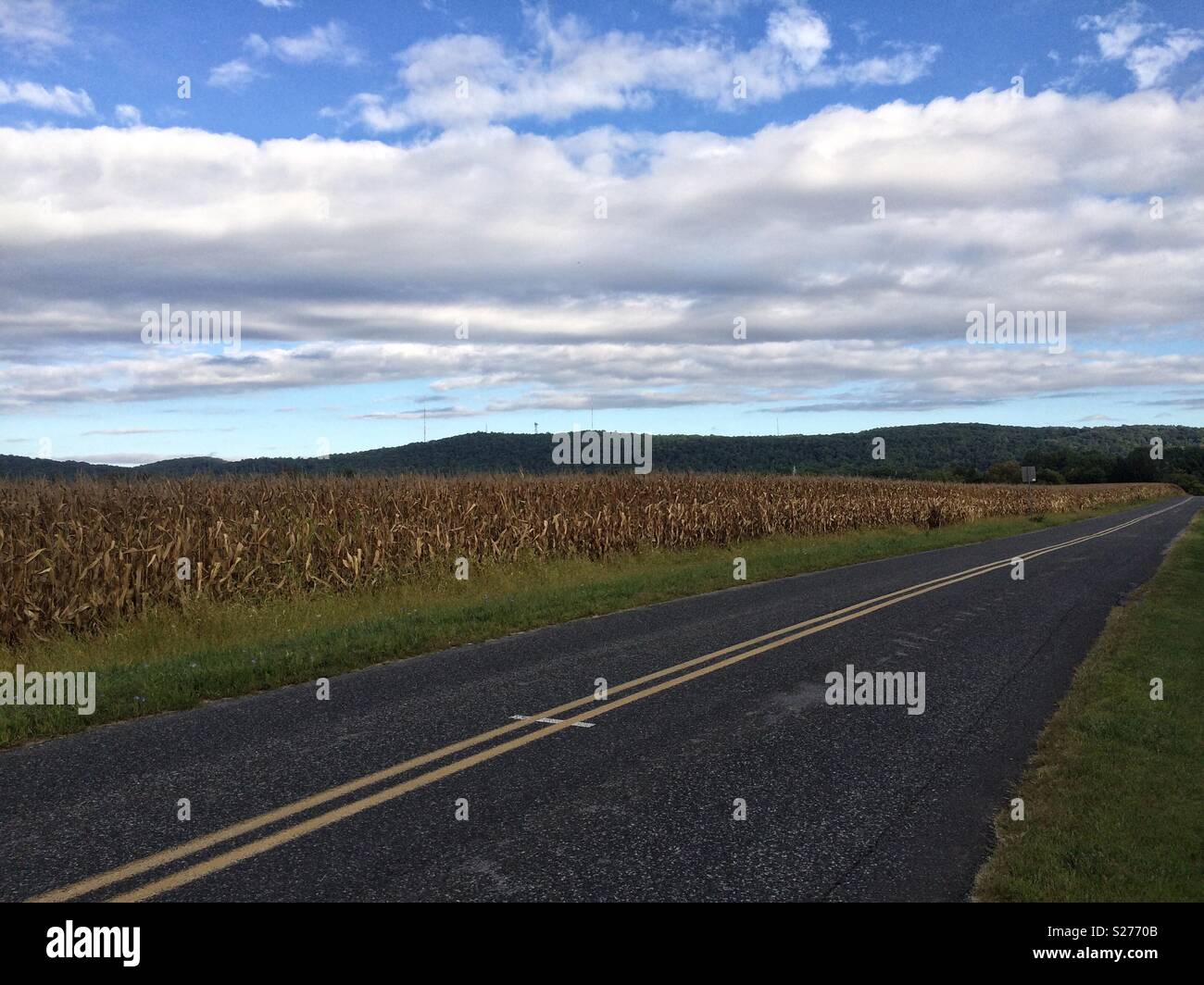 Open road with corn fields Stock Photo - Alamy