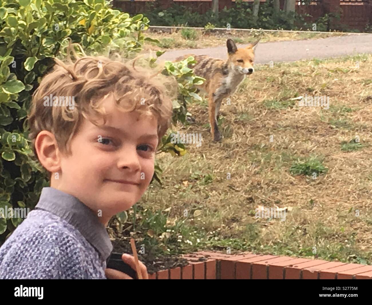 Fox boy hi-res stock photography and images - Alamy