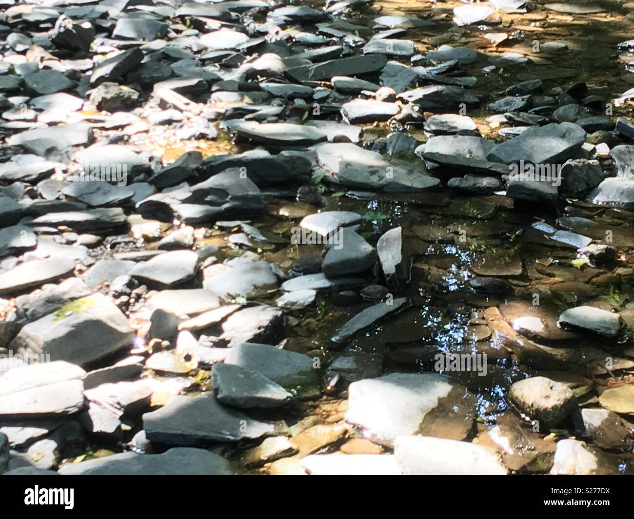 Pebbles in the river Stock Photo - Alamy