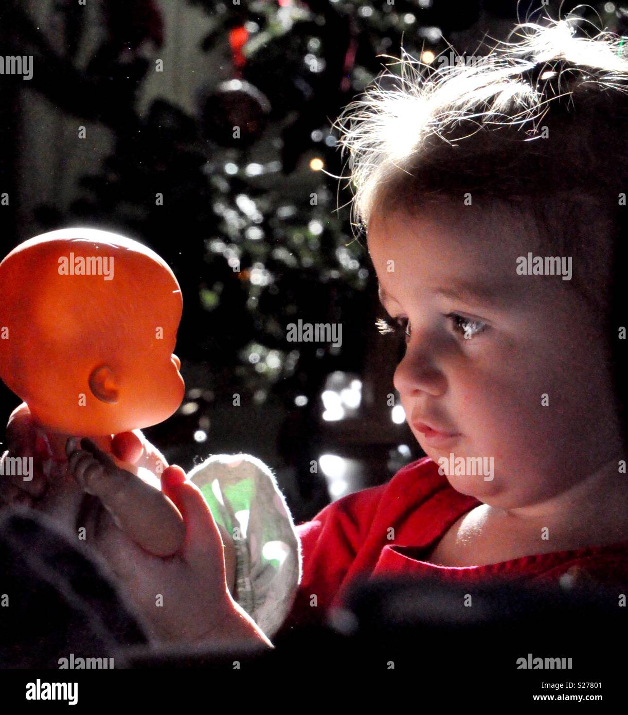 Staring Contest Stock Photos & Staring Contest Stock Images - Alamy