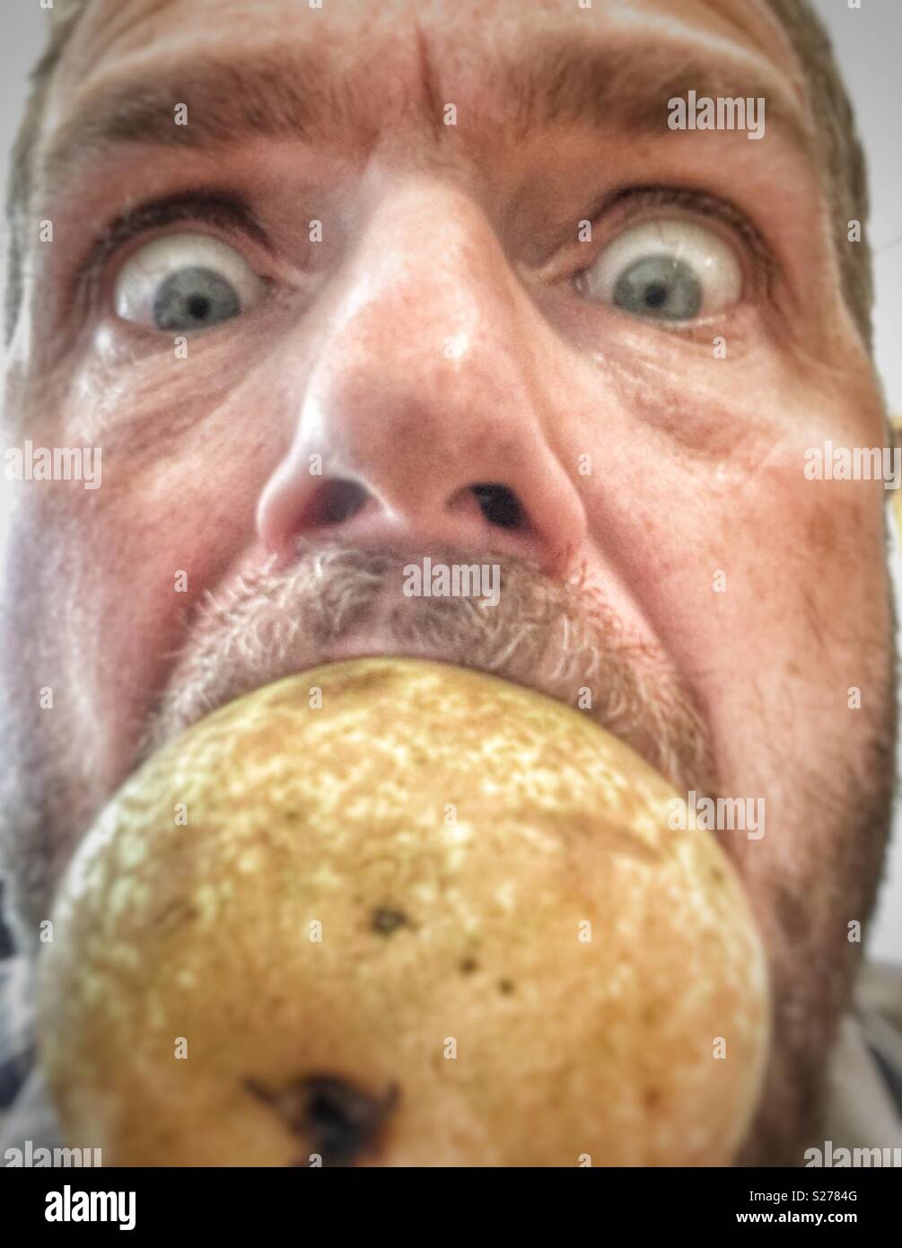 Pear shaped eyes hi-res stock photography and images - Alamy