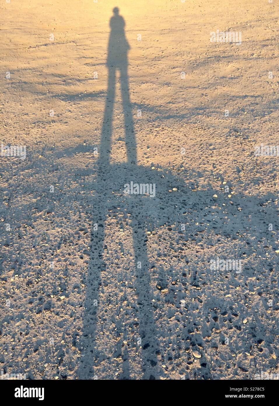 Long tall selfie Stock Photo - Alamy