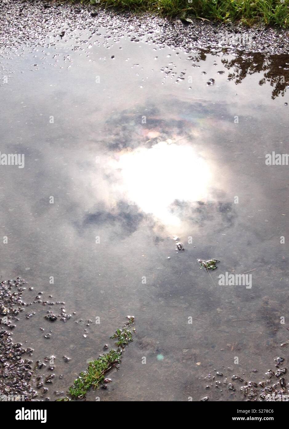 Reflection of sun and clouds in a puddle hi-res stock photography and ...
