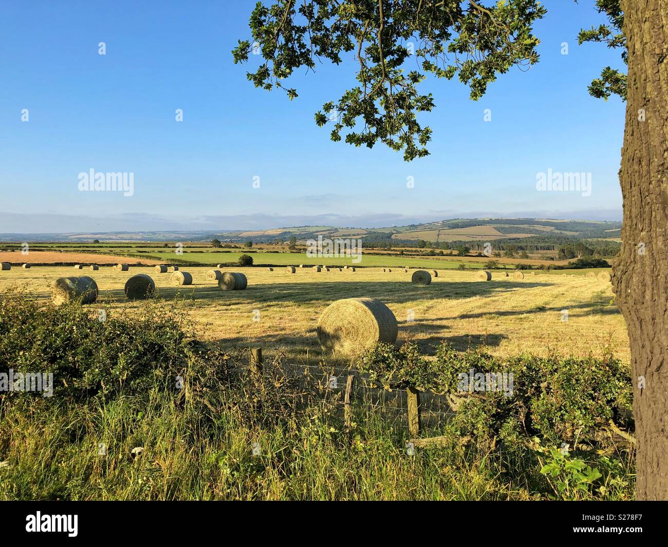 Summer hay hi-res stock photography and images - Alamy