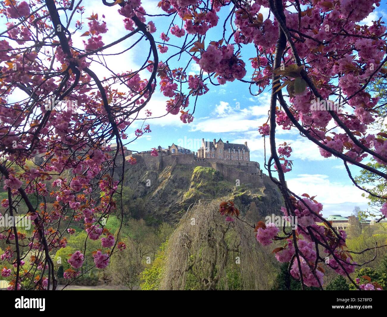 Edinburgh castle on spring Stock Photo - Alamy