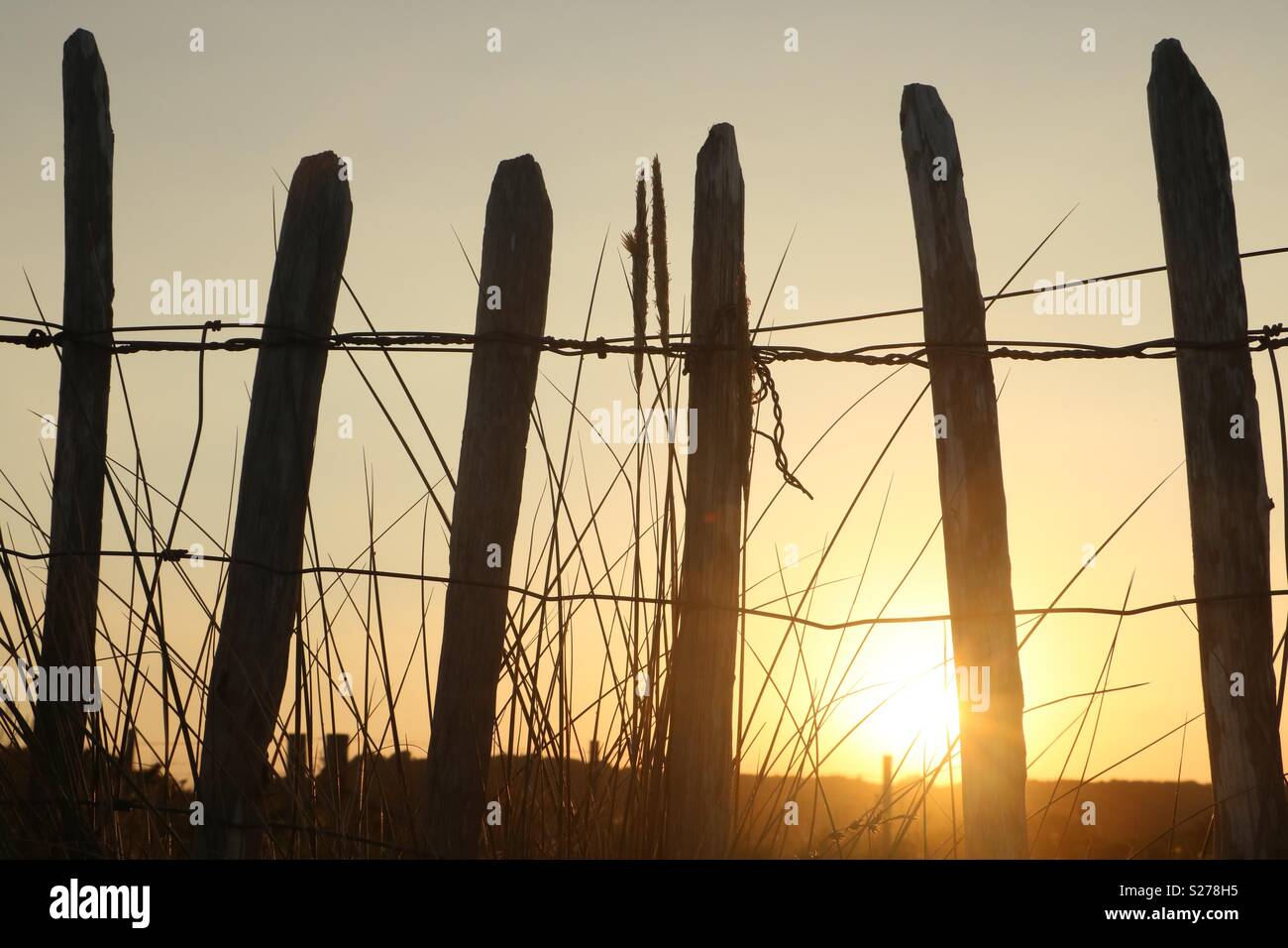 Fence sun hi-res stock photography and images - Alamy