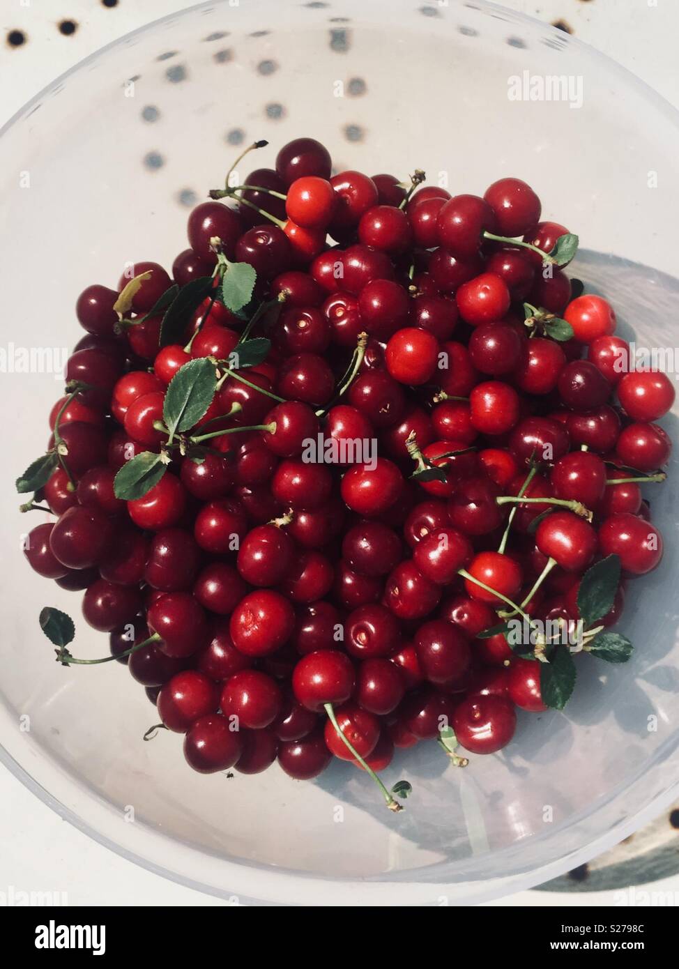 Vibrant bowl hi-res stock photography and images - Alamy