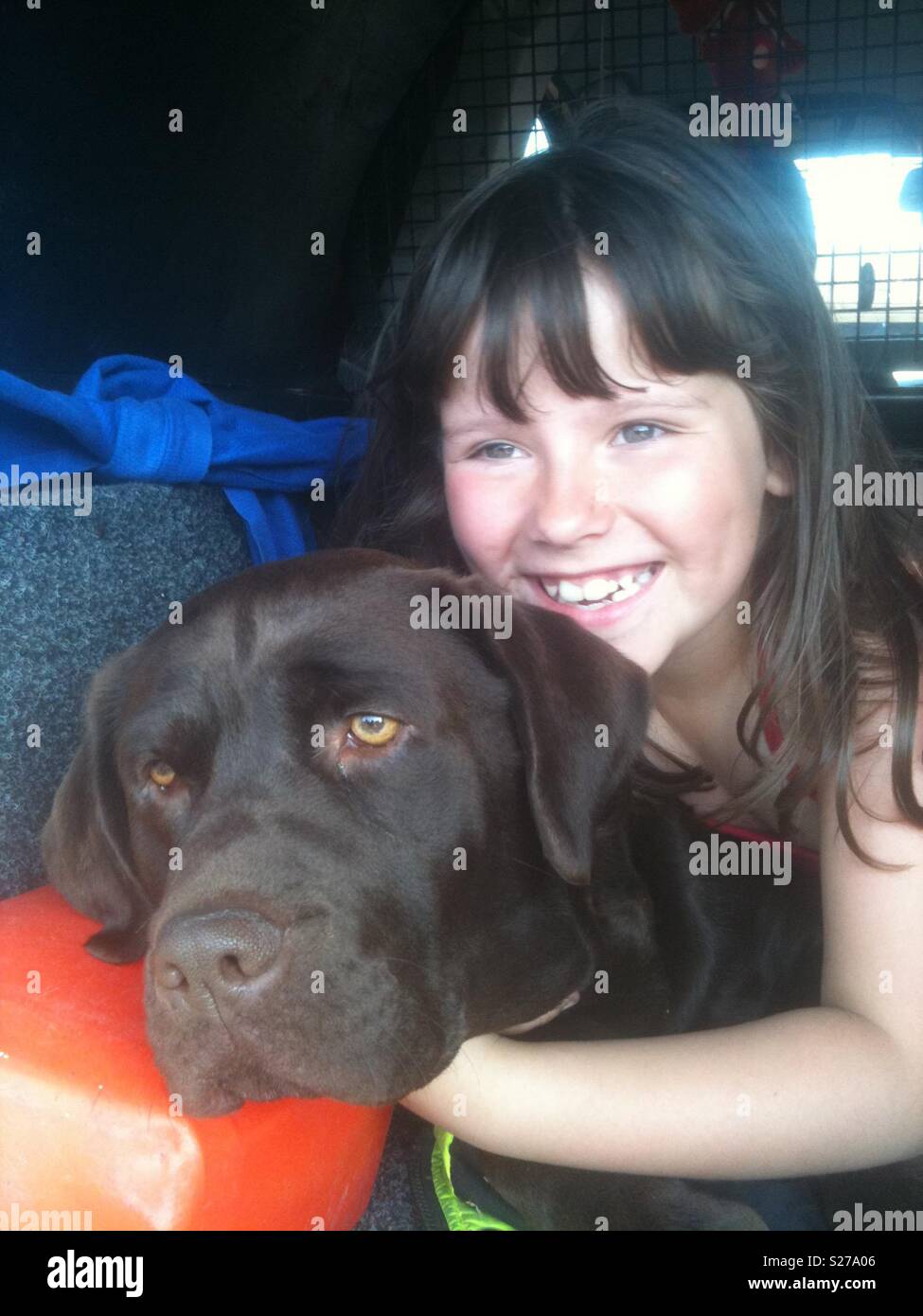 Girl and her Chocolate Labrador Stock Photo - Alamy