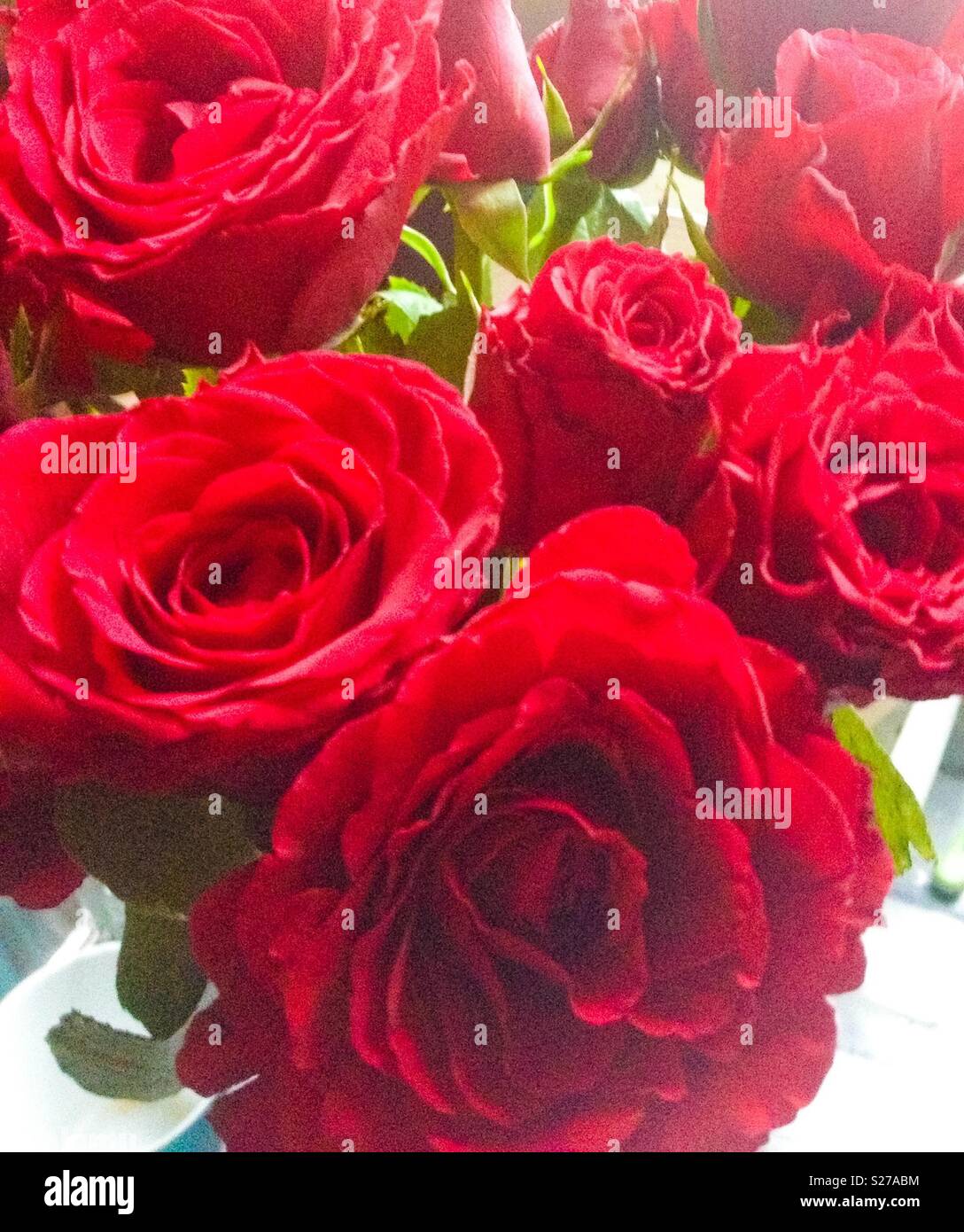 Dozen roses hi-res stock photography and images - Alamy