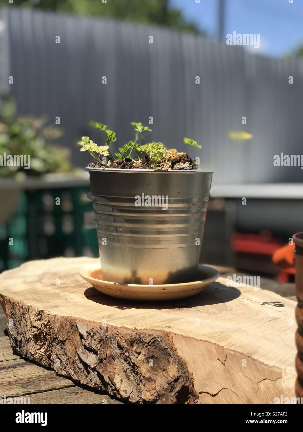 Good by nature hi-res stock photography and images - Alamy