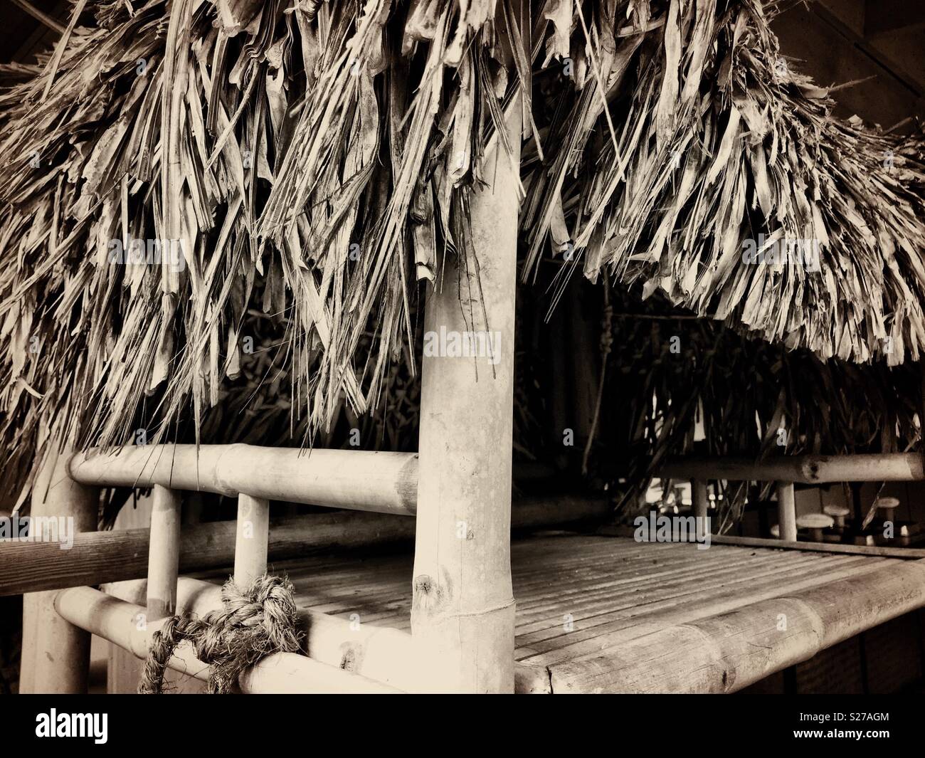Native Hawaiian village hut Stock Photo - Alamy