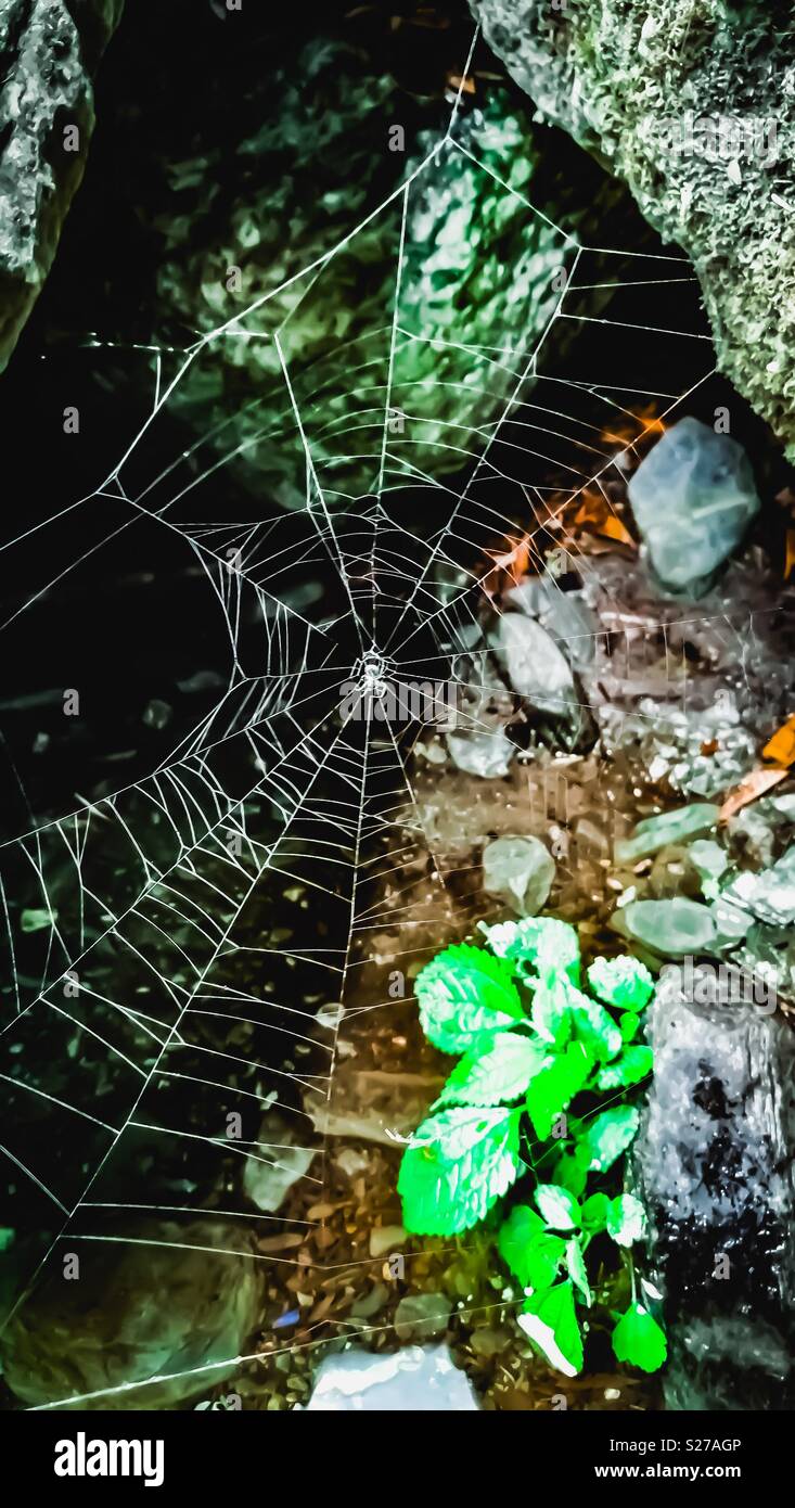Web of rocks hi-res stock photography and images - Alamy