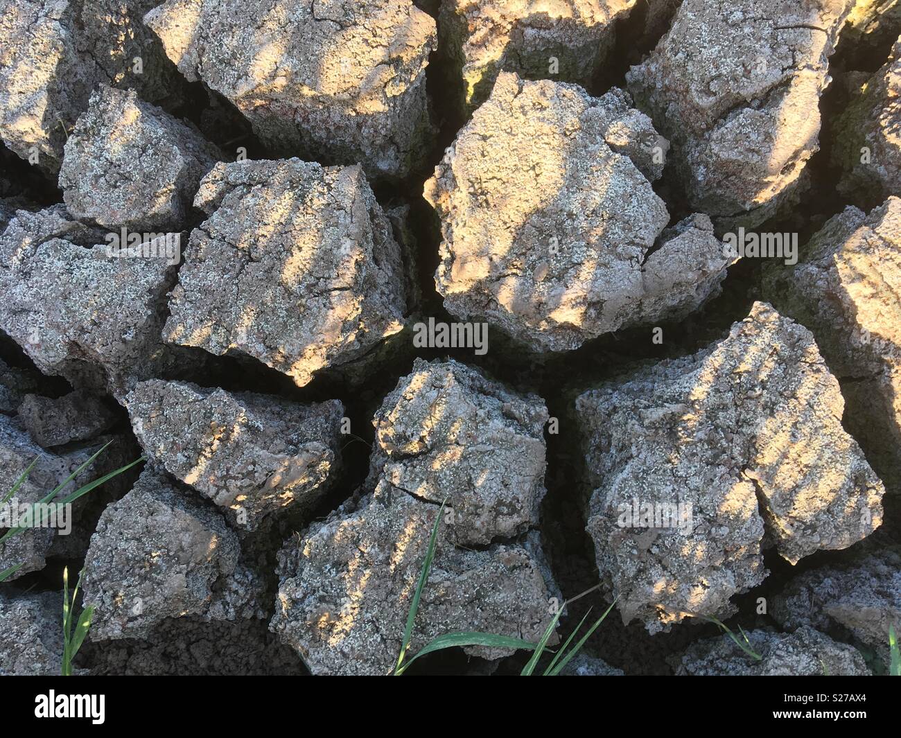 Dried up pond and drought conditions following lack of rain in the ...
