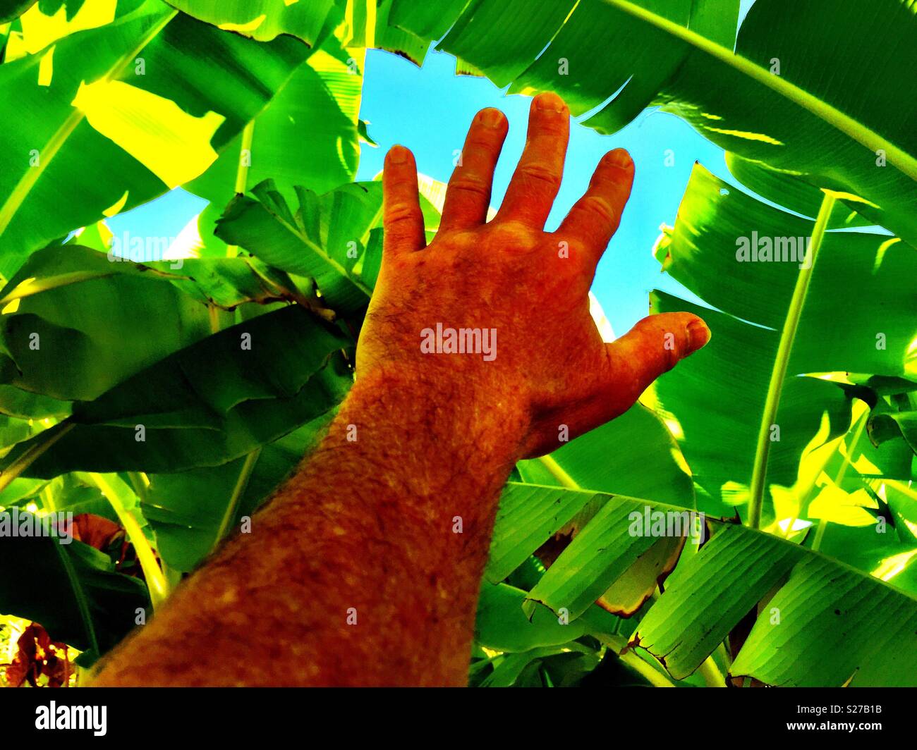 Outstretched Hand Stock Photos & Outstretched Hand Stock Images - Alamy