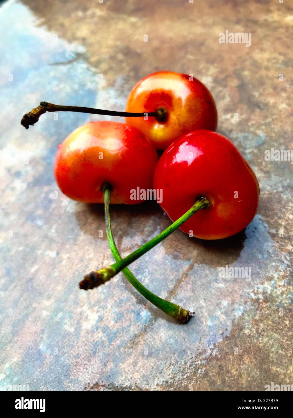Three cherries on a wet surface Stock Photo - Alamy