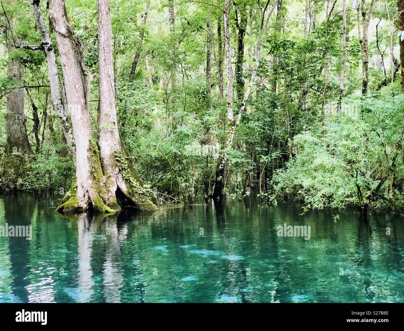 Nature at its best Stock Photo - Alamy