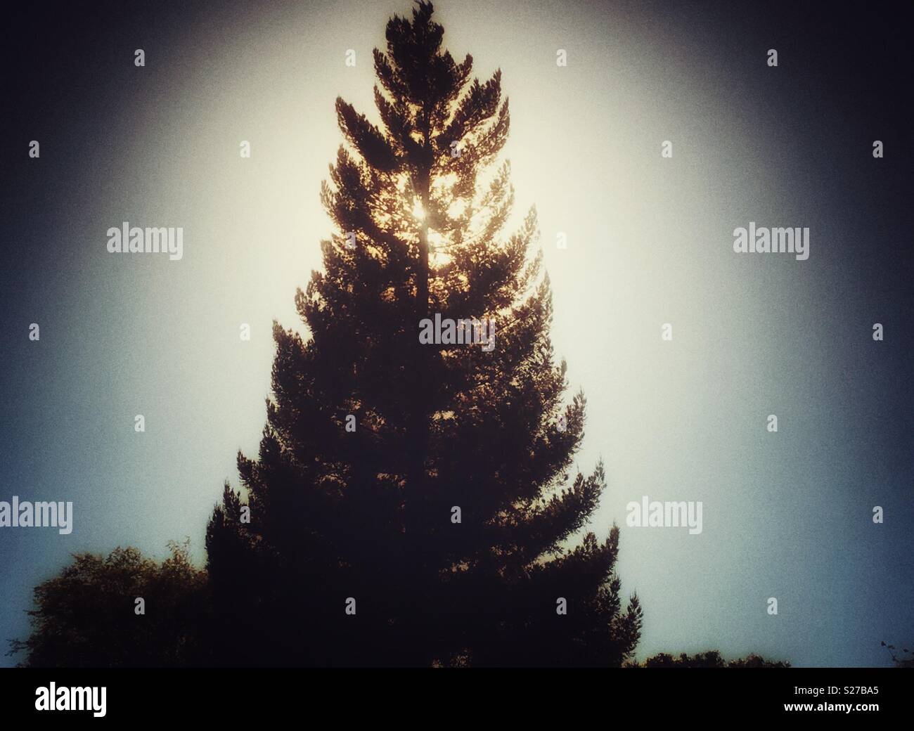 Summer solstice moon hi-res stock photography and images - Alamy