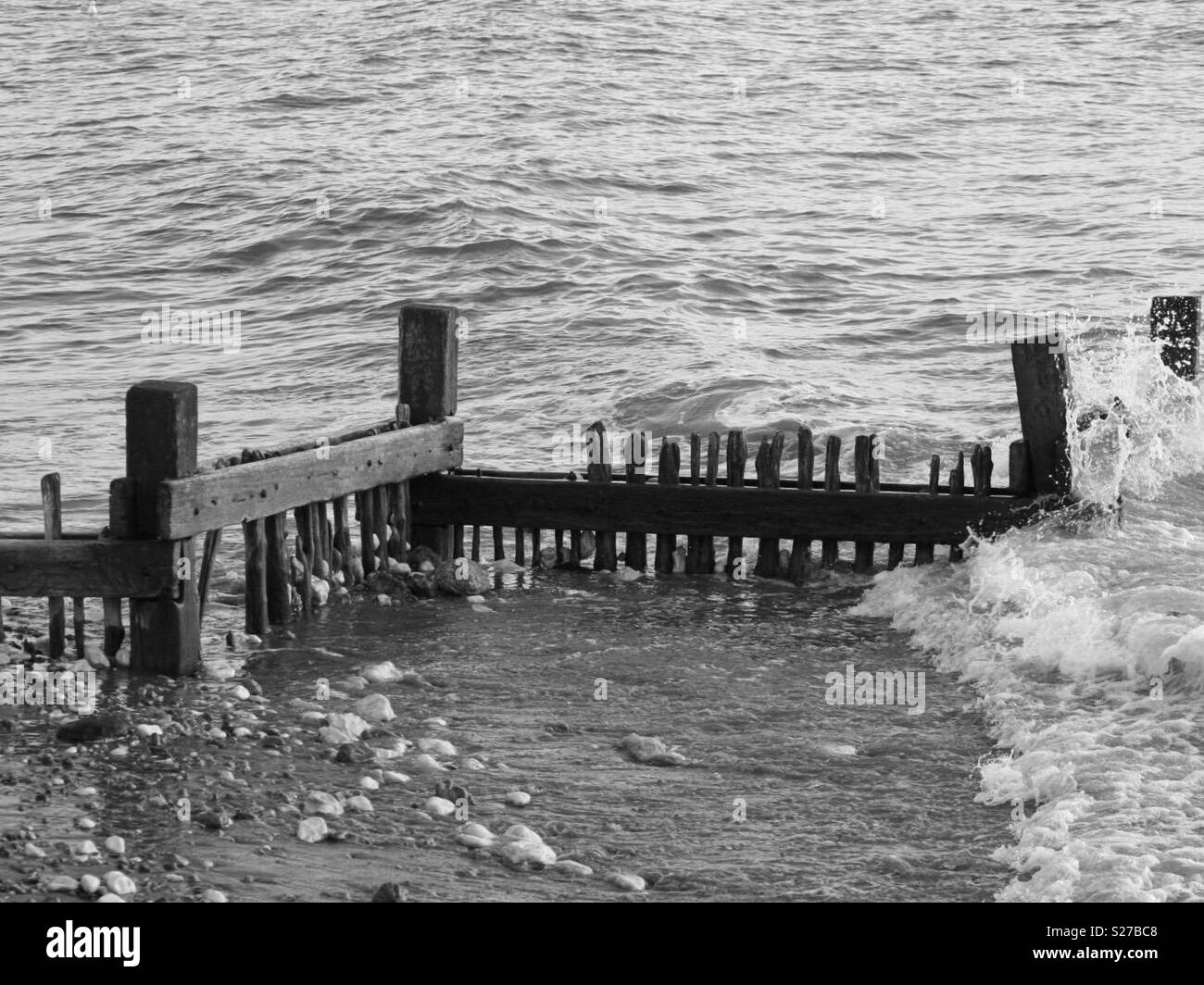 Beach wood and pebbles Stock Photo - Alamy