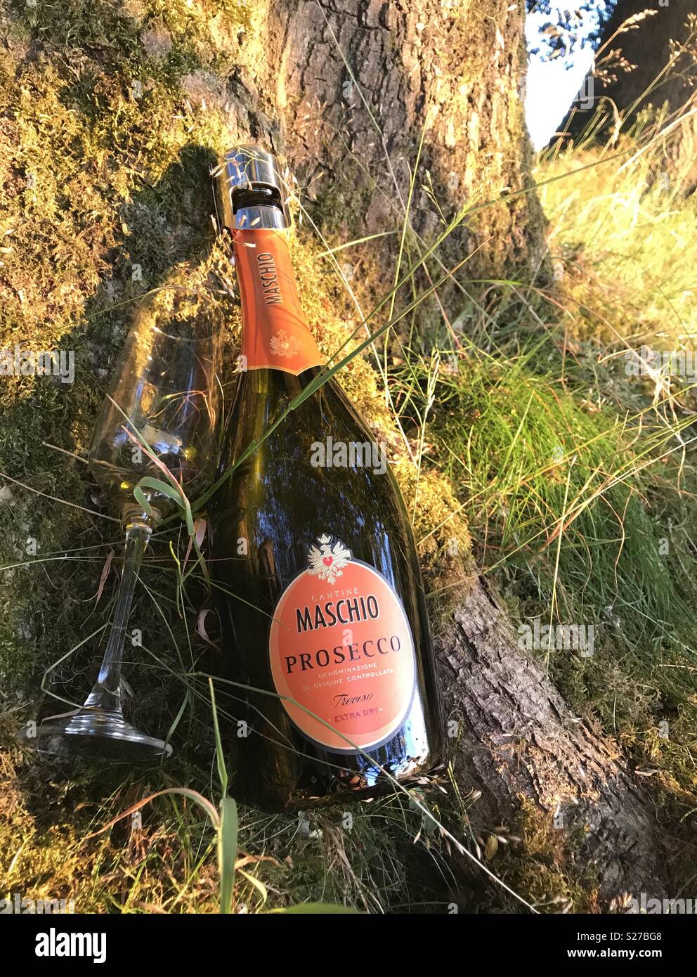 Prosecco glass hi-res stock photography and images - Alamy