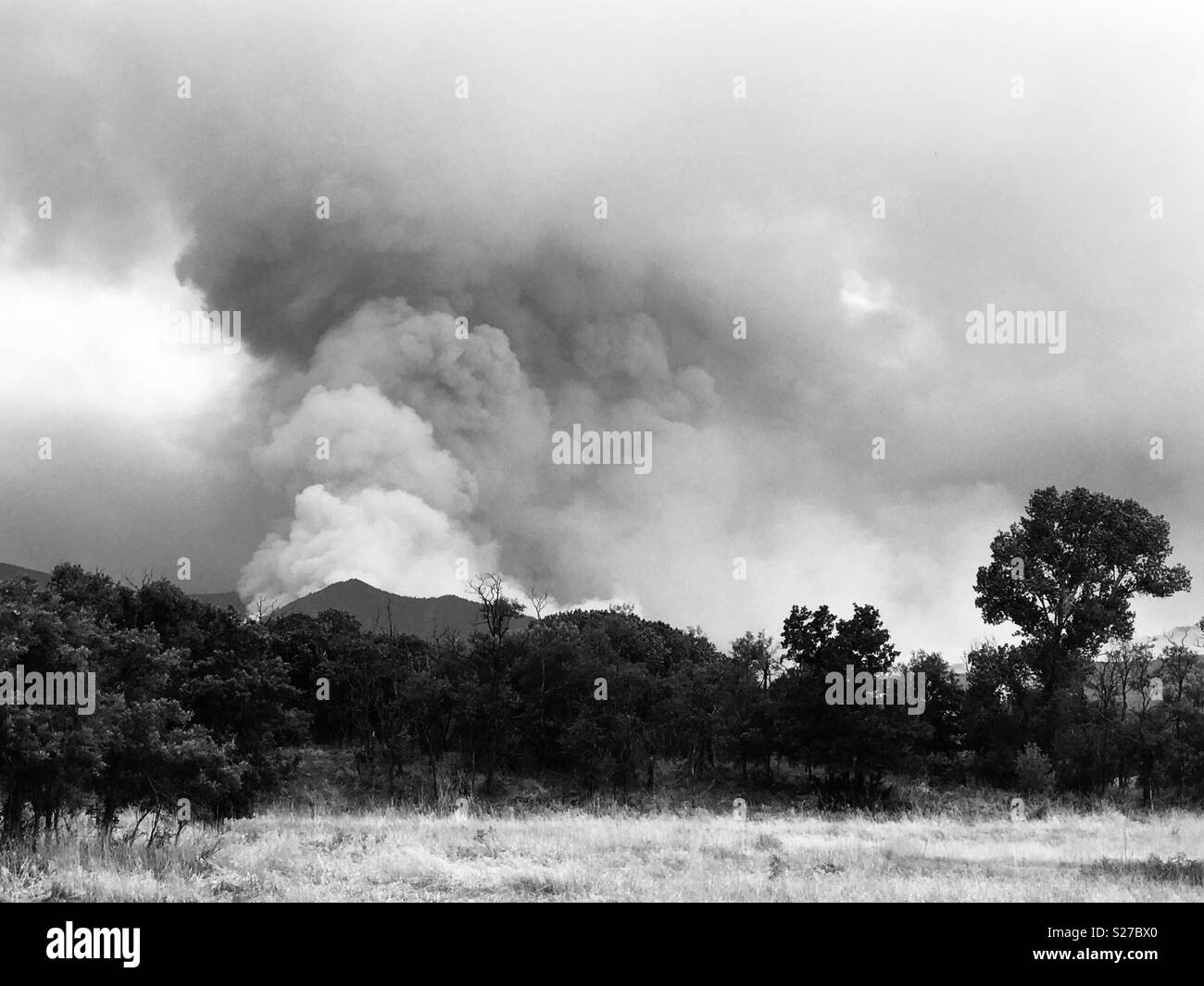 Tragedy spring hi-res stock photography and images - Alamy